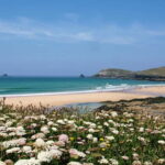 Cornwall: Beautiful and Wild, North Cornwall Guided Tour - What To Expect: Practical Details