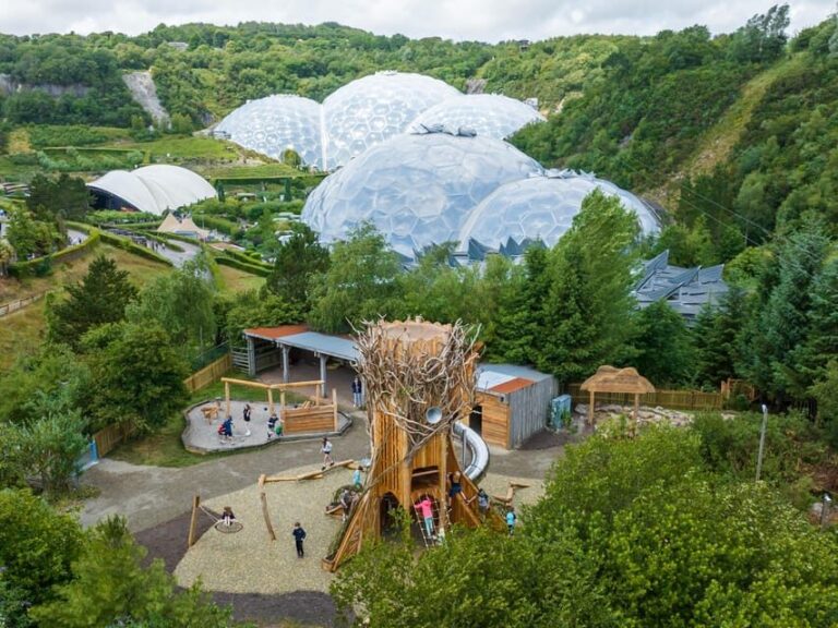 Cornwall: Eden Project Entry Ticket - Gardens and Outdoor Spaces