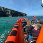 Cornwall: Guided Seal Safari by Boat - A Closer Look at the Cornwall Seal Safari
