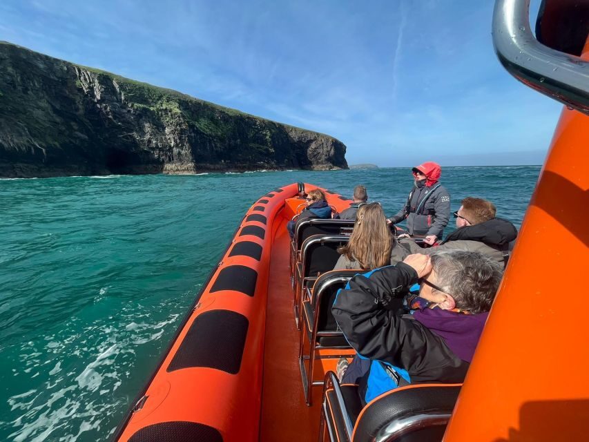 Cornwall: Guided Seal Safari by Boat - A Closer Look at the Cornwall Seal Safari