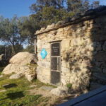 Corsica: Organic wine tasting - Authentic Reviews and Insights