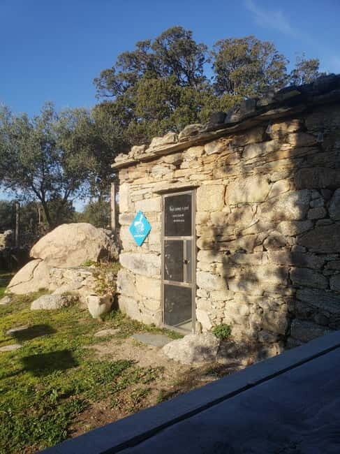 Corsica: Organic wine tasting - Authentic Reviews and Insights