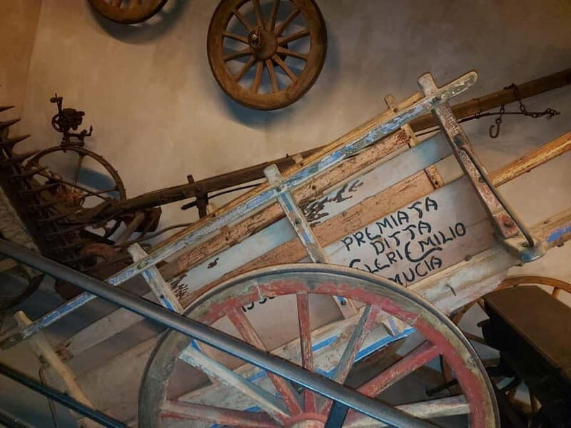Cortona: Journey Through Time - The Tractor Collection: A Rural Revelation