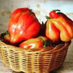 Cortona: Pasta and Pizza Cooking Class - What the Experience Really Looks Like