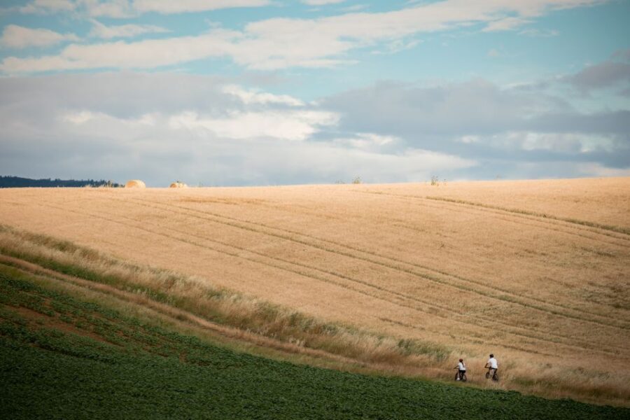 Cortona: Val di Chiana E-Bike Tour with Optional Wine Lunch - The Winery and Wine Tasting