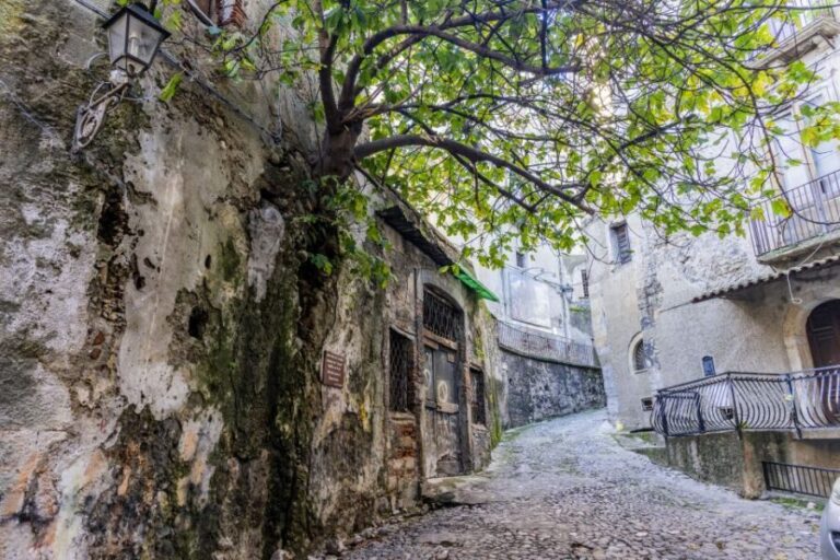 Cosenza: Audio Guide of the Historic Center - Final Thoughts: Who Is This Tour Best For?