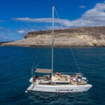 Costa Adeje: Private Catamaran Tour 22 Persons Max - The Sum Up