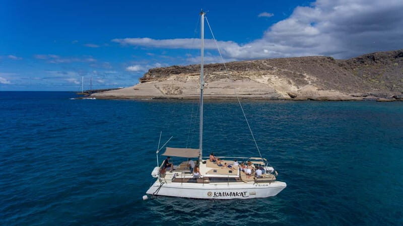 Costa Adeje: Private Catamaran Tour 22 Persons Max - The Sum Up