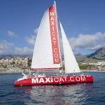 Costa Adeje: Whale and Dolphin Cruise with Food and Pickup - Wildlife Encounters: Watching Marine Mammals