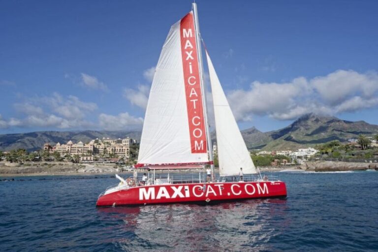 Costa Adeje: Whale and Dolphin Cruise with Food and Pickup - Wildlife Encounters: Watching Marine Mammals