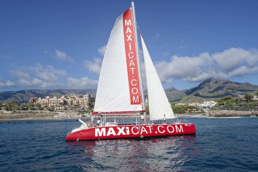 Costa Adeje: Whale and Dolphin Cruise with Food and Pickup - Wildlife Encounters: Watching Marine Mammals