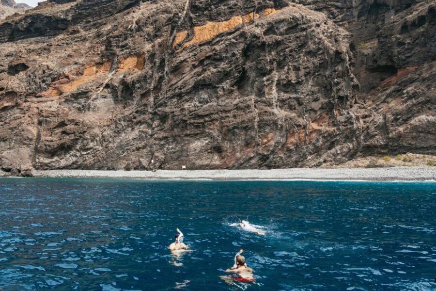 Costa Adeje: Whale & Dolphin Eco-Cruise with Snacks & Drinks - Setting the Scene: What to Expect on Your Tenerife Marine Adventure