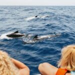 Costa Adeje: Whale Watching Catamaran Tour with Drinks - The Allure of the Marine Encounters