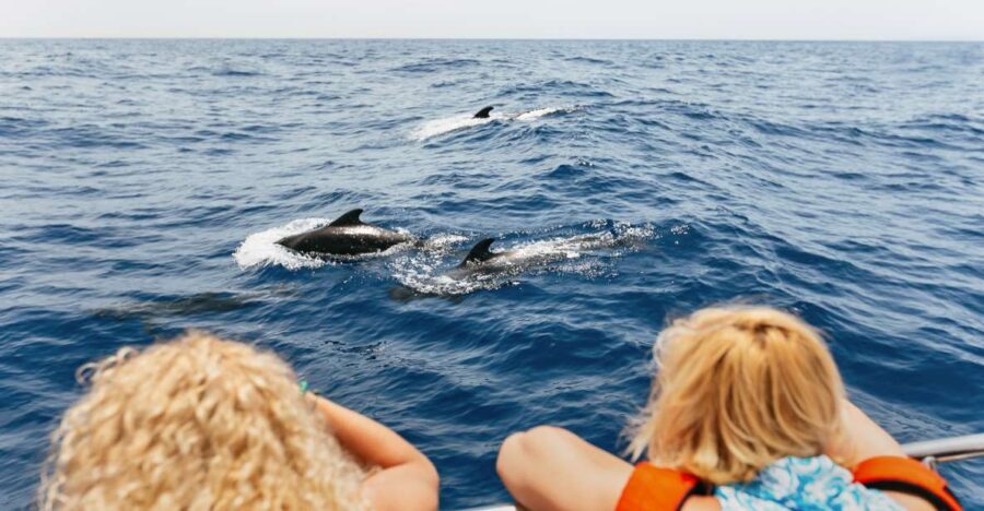 Costa Adeje: Whale Watching Catamaran Tour with Drinks - The Allure of the Marine Encounters