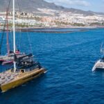 Costa Adeje: Whale Watching Cruise with Snack and Drinks - Key Points