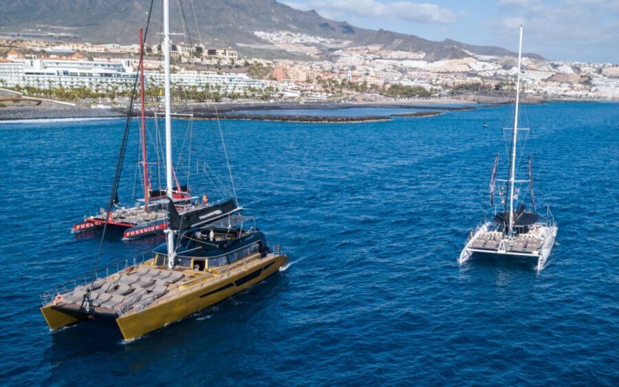 Costa Adeje: Whale Watching Cruise with Snack and Drinks - Key Points