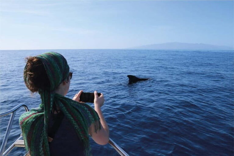 Costa Adeje: Whale Watching Eco Experience with Hydrophone. - An Overview of the Experience