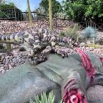 Costa Blanca: DinoPark Algar Entry Ticket - What Reviewers Say