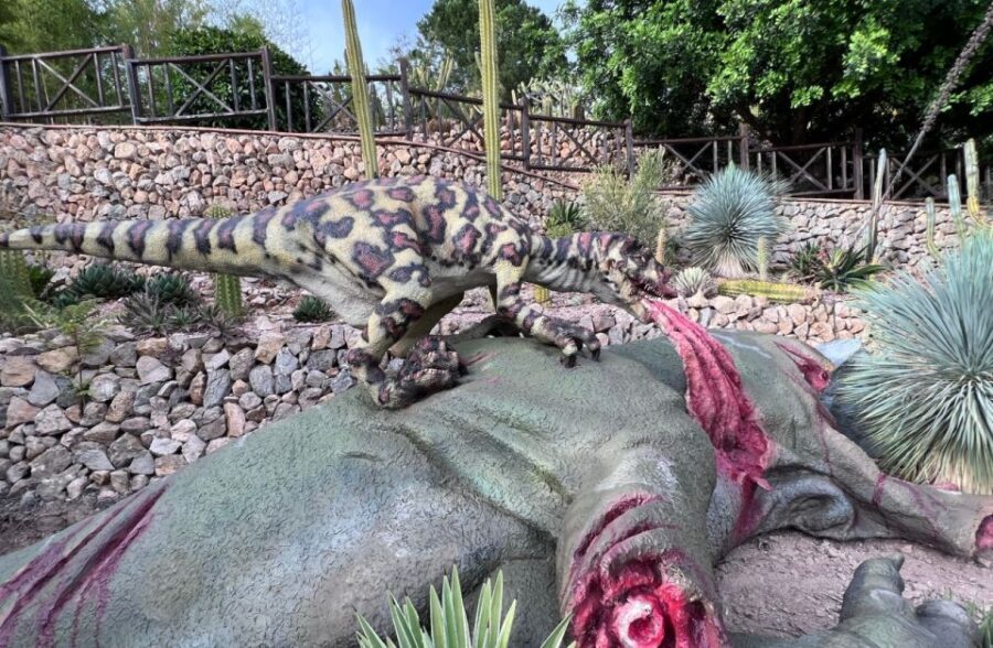 Costa Blanca: DinoPark Algar Entry Ticket - What Reviewers Say