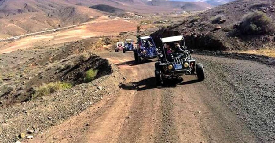 Costa Calma: Buggy Safari - Who Will Enjoy This Tour?