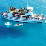 Costa Calma: Fuerteventura Dolphin Watching Boat Tour - What Makes This Tour Stand Out