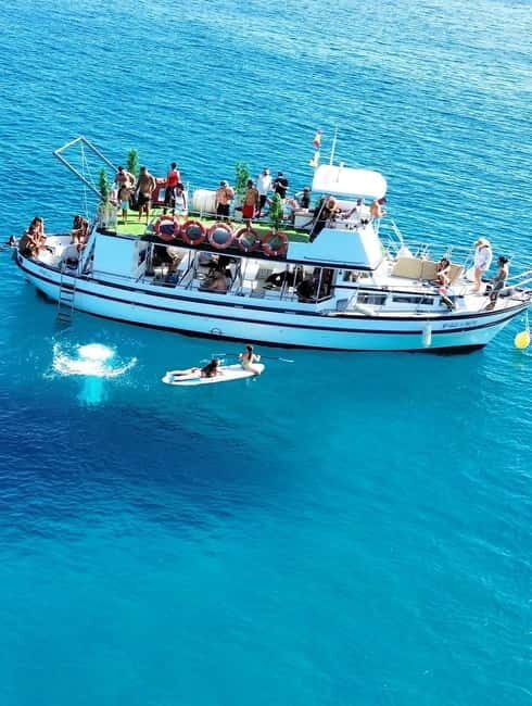 Costa Calma: Fuerteventura Dolphin Watching Boat Tour - What Makes This Tour Stand Out