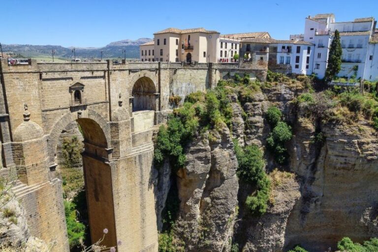 Costa del Sol: Day Trip to Ronda and Setenil - Who Should Consider This Tour?
