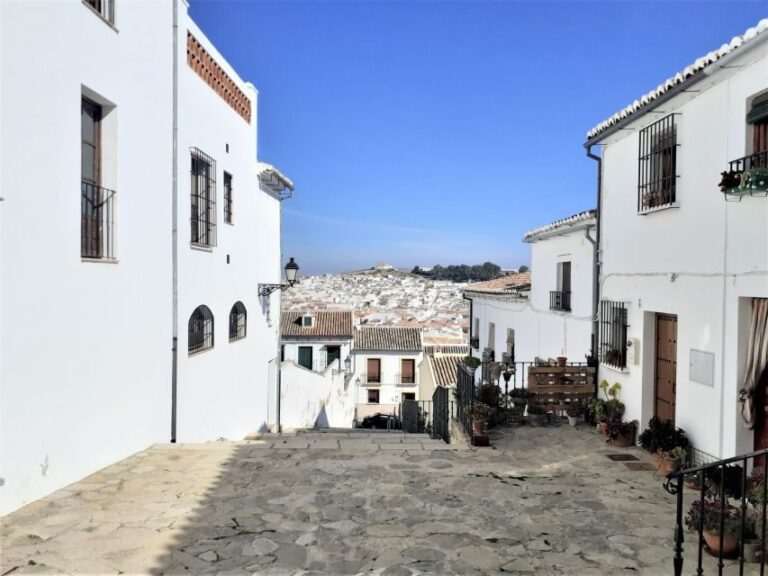 Costa del Sol: Private Tour to Antequera - Why Choose the Private Tour to Antequera?