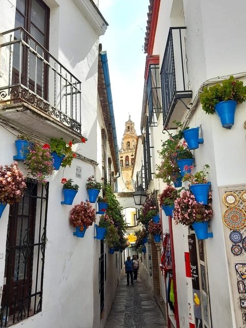 Costa del Sol: Private trip to Cordoba - Why the Cathedral-Mosque Is a Must-See