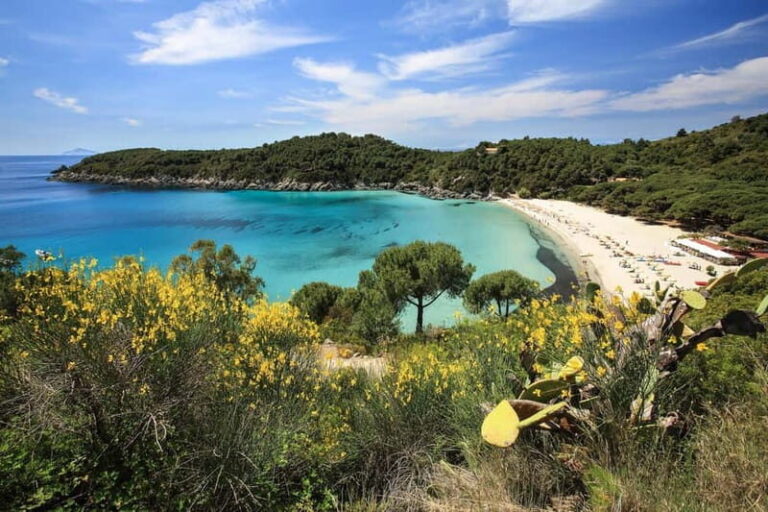 Costa del Sole Elba Island: Tour from Portoferraio and Lacona - The Experience: What Travelers Say