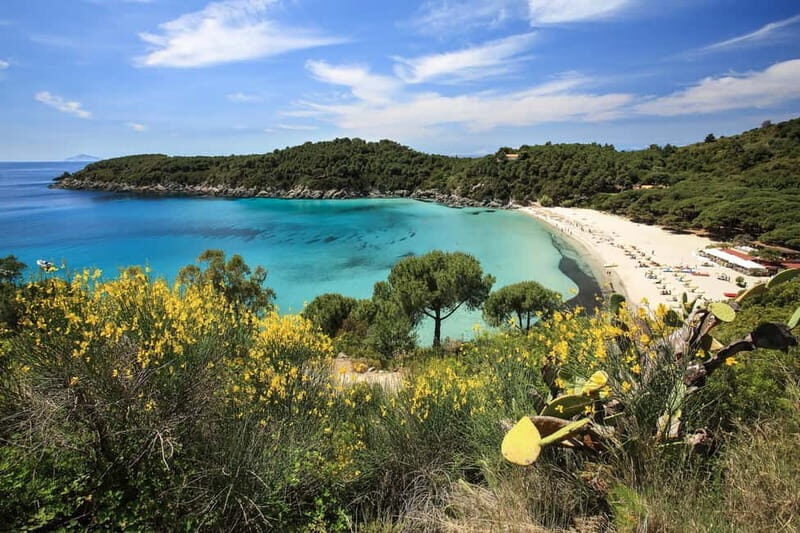 Costa del Sole Elba Island: Tour from Portoferraio and Lacona - The Experience: What Travelers Say