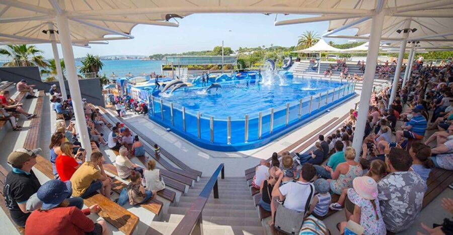 Costa d'en Blanes: Entry Ticket for Marineland Mallorca - The Sum Up