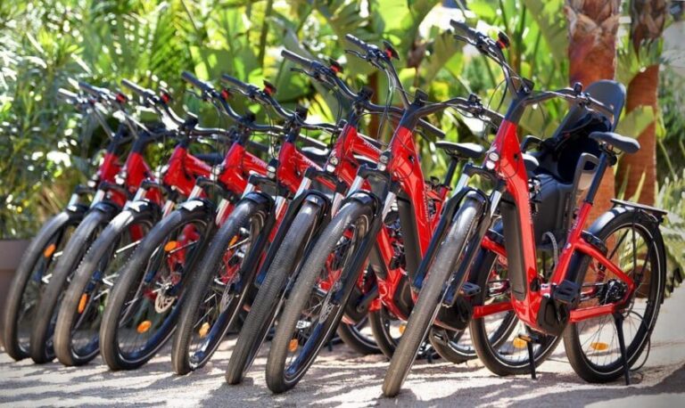 Côte d'Azur: E-Bike Rental - Authentic Feedback and Unique Aspects