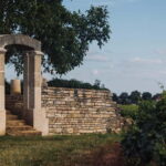 Côte de Nuits: 2h30 excursion among the vines - Detailed Itinerary Breakdown