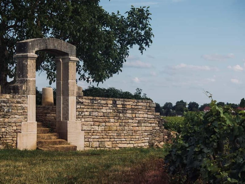 Côte de Nuits: 2h30 excursion among the vines - Detailed Itinerary Breakdown
