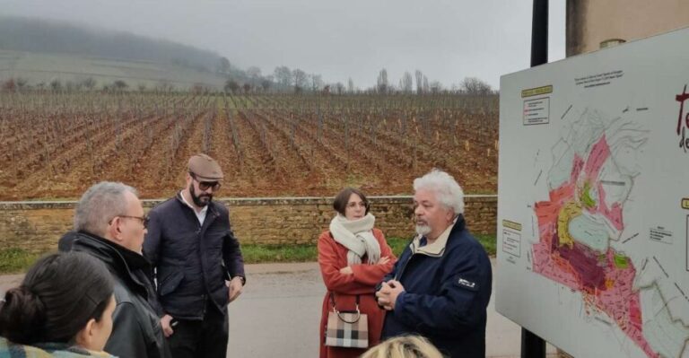 Côte de Nuits Private Local Wineries and Wine Tasting Tour - The Itinerary Breakdown