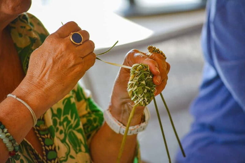 Cotignac: Workshop to discover wild basketry - Detailed Breakdown of the Experience