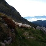 Countryside & Coast Private tour - What Does This Mean for You?
