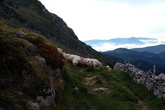 Countryside & Coast Private tour - What Does This Mean for You?