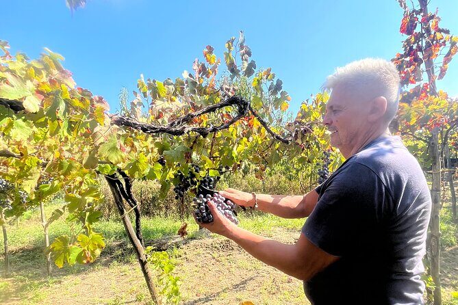 Craftsmanship and Flavors of Sorrento and Amalfi Coast - The Value for Your Money