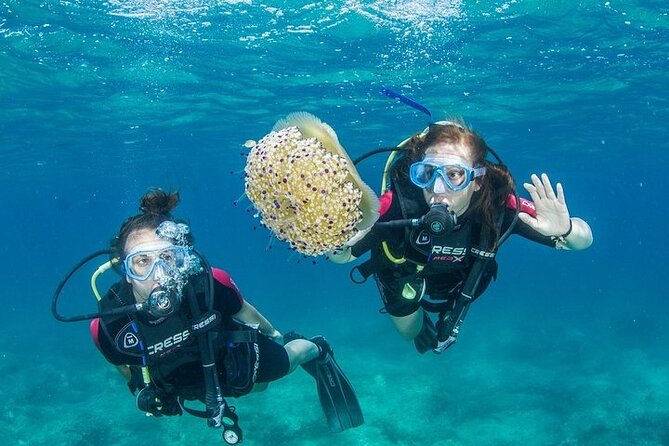 Crete-Chania: Snorkeling & Scuba Dive for Beginners by Boat - A Practical Look at Crete-Chania’s Snorkeling & Scuba Tour for Beginners