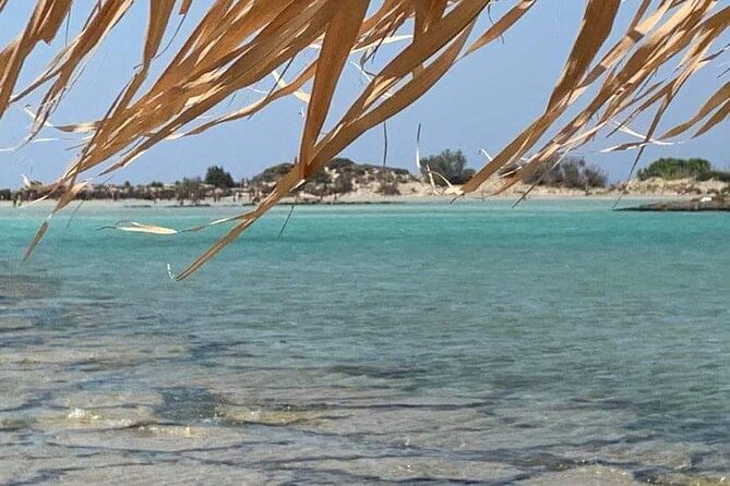 Crete: Elafonisi  4 hours in the beach - Key Points