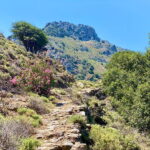 Crete: Guided Hiking Tour, Kavousi Canyon & Swimming - Who Will Love This Tour?