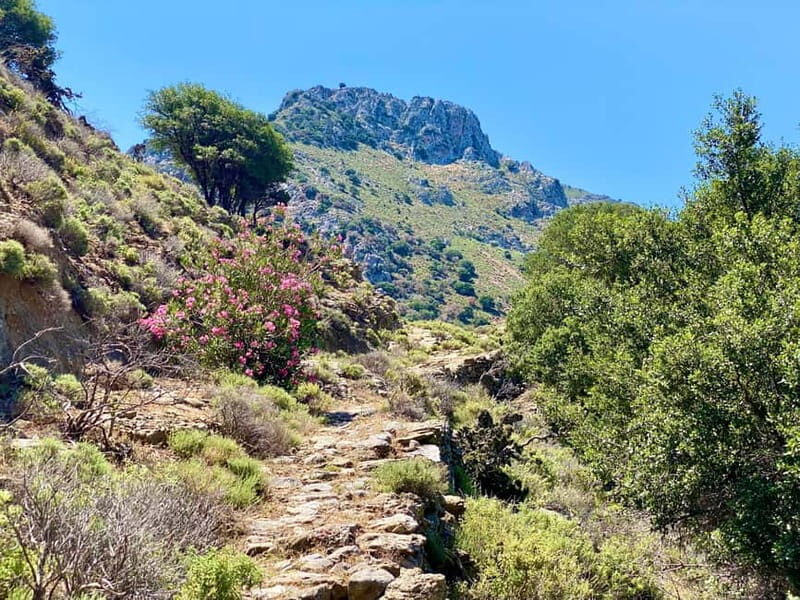 Crete: Guided Hiking Tour, Kavousi Canyon & Swimming - Who Will Love This Tour?