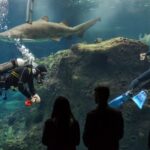 Crete: Heraklion Center, Local Market and Creta Aquarium - The Cretaquarium: Marine Marvels Await