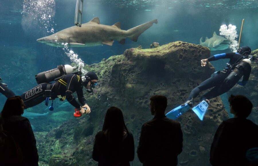 Crete: Heraklion Center, Local Market and Creta Aquarium - The Cretaquarium: Marine Marvels Await