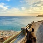 Crete Horse Riding: East Coastline Ride - Who Will Love This Tour?
