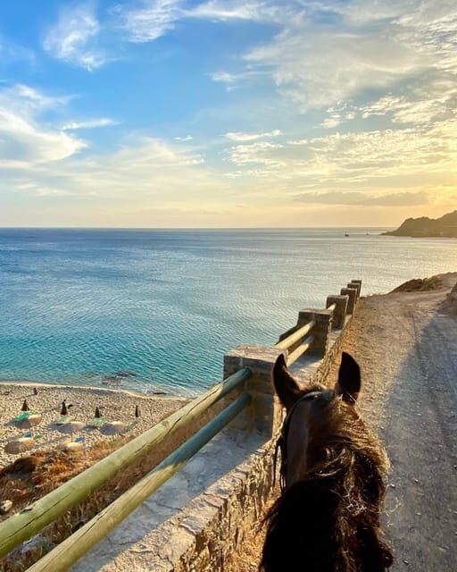 Crete Horse Riding: East Coastline Ride - Who Will Love This Tour?