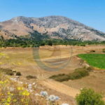 Crete: Knossos Palace, Lasithi, Olive Oil Factory Tour - The Itinerary: A Well-Structured Day
