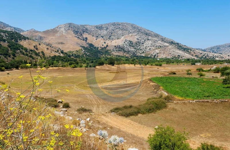 Crete: Knossos Palace, Lasithi, Olive Oil Factory Tour - The Itinerary: A Well-Structured Day